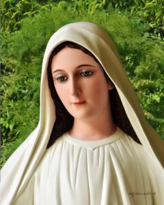 Mary Mediatrix of All Grace – Our Mother and Mediatrix to Jesus, the ...