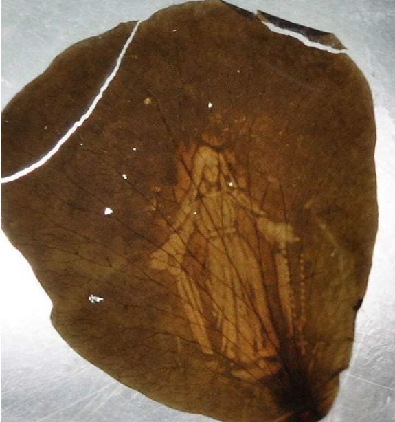 The Lipa Apparitions – Mary Mediatrix of All Grace
